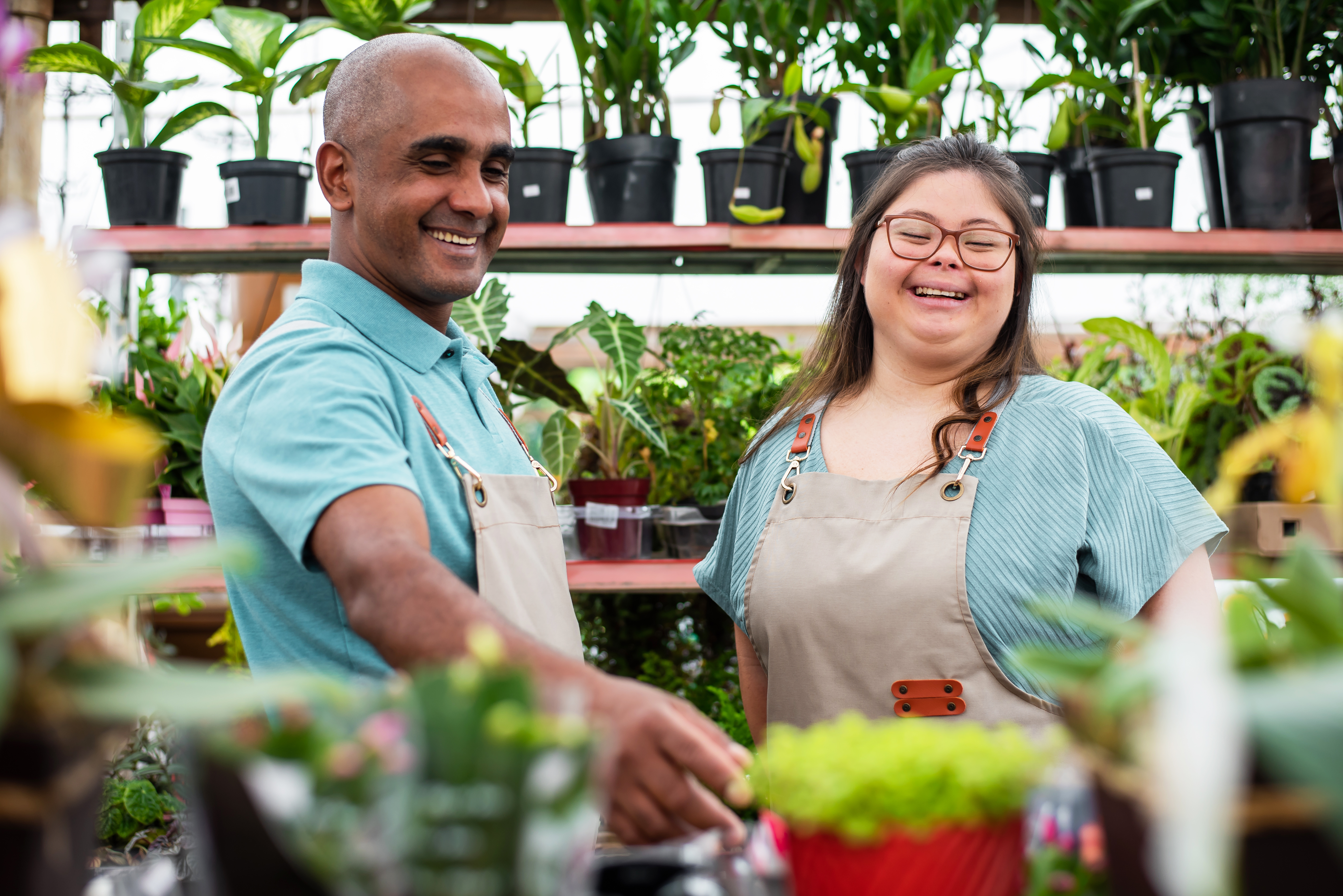 Disability Employment Services | IntoWork